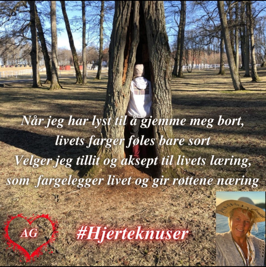 Hjerteknuser